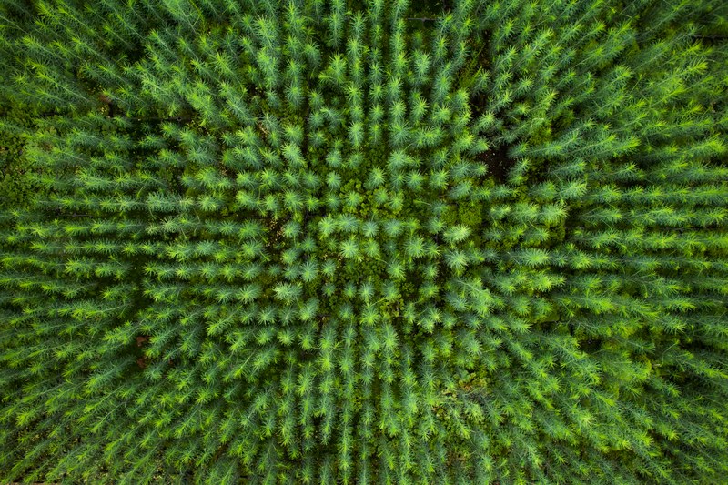 Eionet core data flows 2023 | Publications | European Environment ...