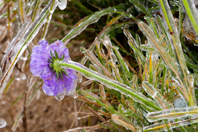 Heat and cold — frost days | European Environment Agency's home page