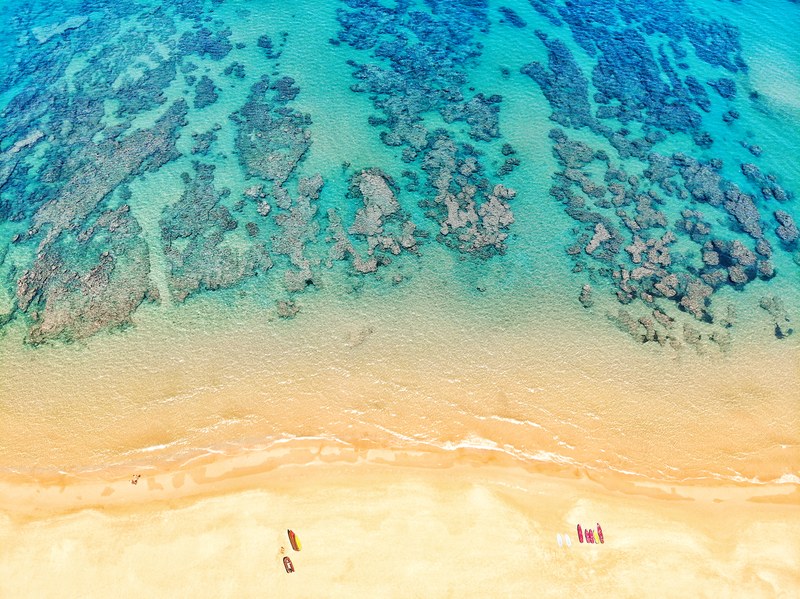 How climate change impacts marine life | Publications | European ...