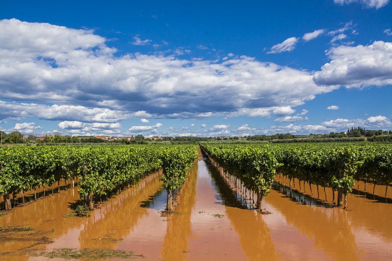 Preparing society for climate risks in Europe - lessons and inspiration ...