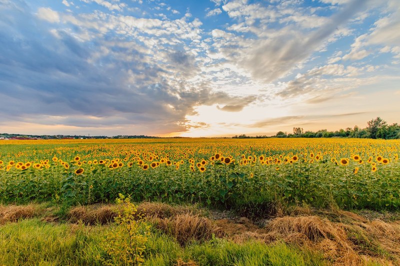 Hungary | EEA member countries | European Environment Agency (EEA)