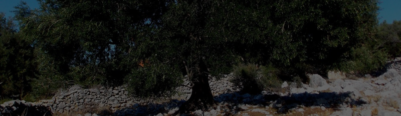 Case study: Building a national system to monitor land-use over time in ...