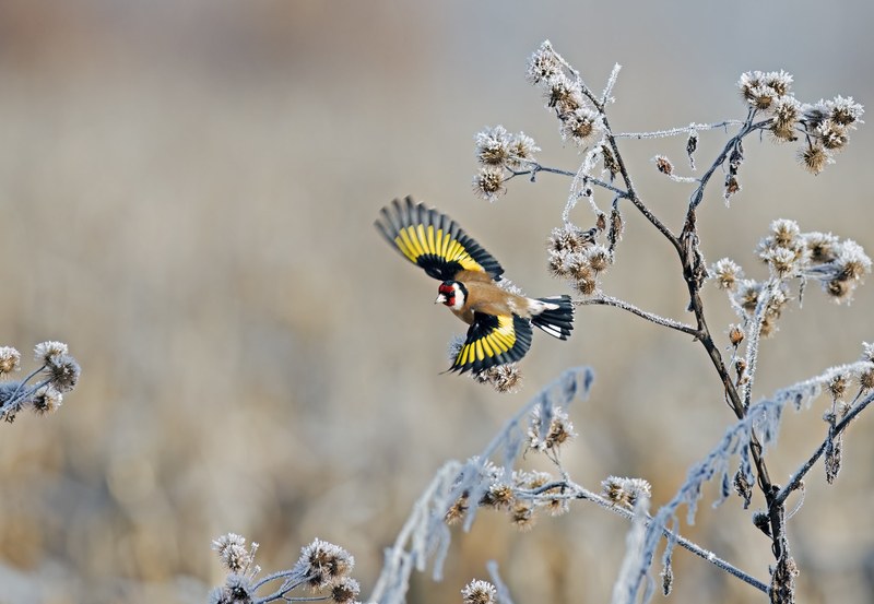 Climate, nature and people: a shared future for our planet | Feature ...