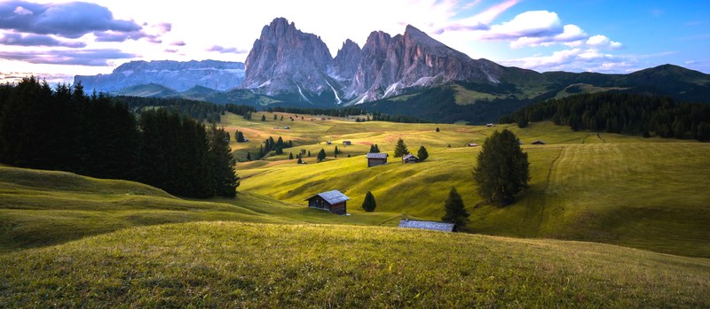 Biodiversity-friendly farming practices can help build sustainable ...