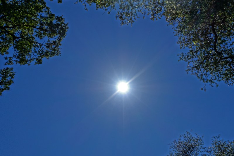 EU continues phasing out use of chemicals that harm the ozone layer ...