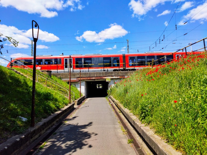 Rail offers a major opportunity for Europe to cut transport emissions ...