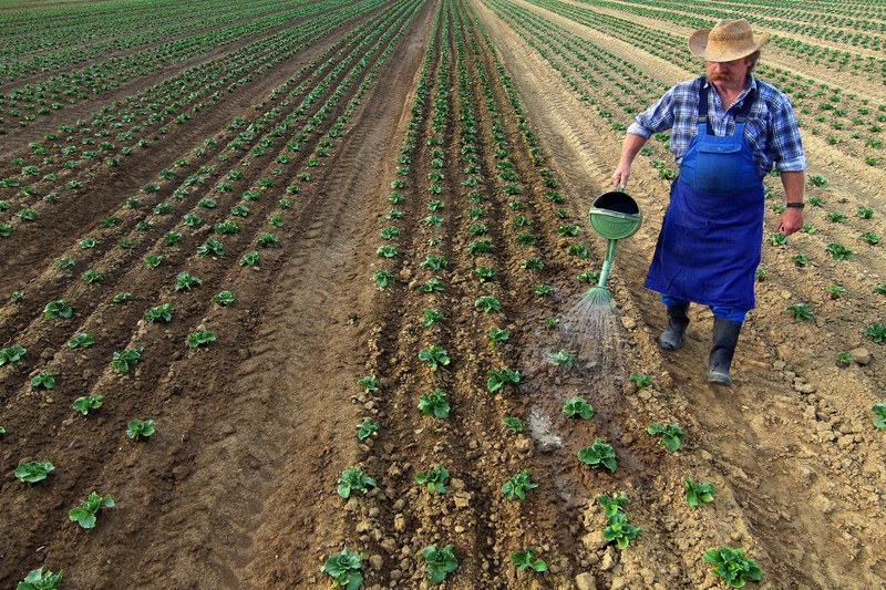 Transforming Europe’s food system requires coordinated action across ...