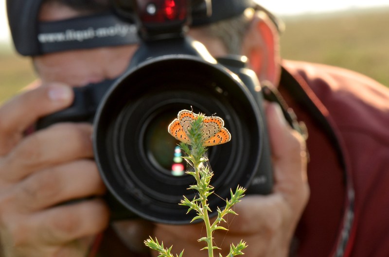 Photo competitions