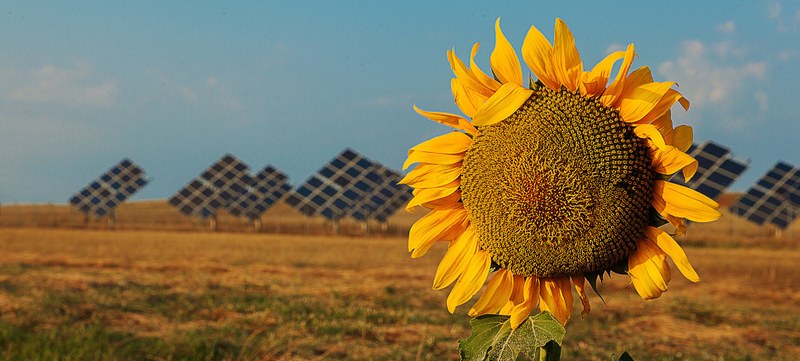 Energy efficiency | In-depth topics | European Environment Agency (EEA)