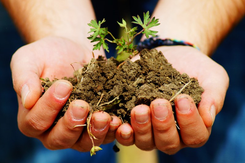 Soil | In-depth topics | European Environment Agency (EEA)