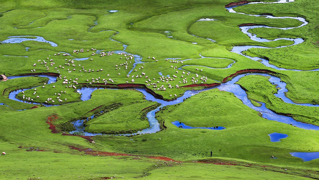 Restoring floodplains would improve state of water, ecosystems and ...